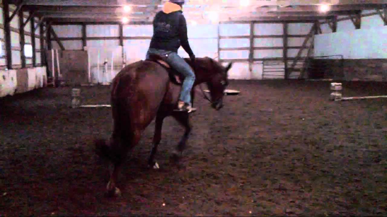 Taylor Laskowski schooling Tonk - YouTube