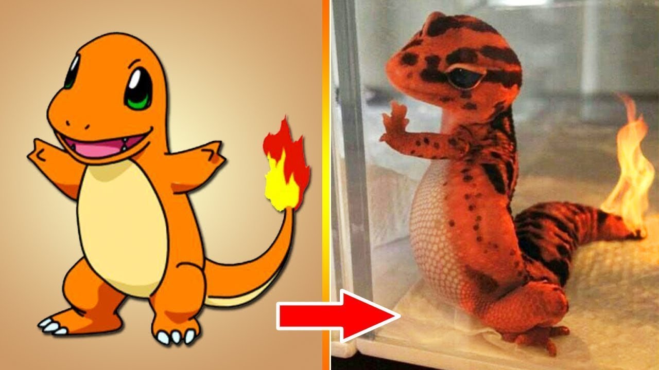 10 Pokemon In Real Life! - YouTube