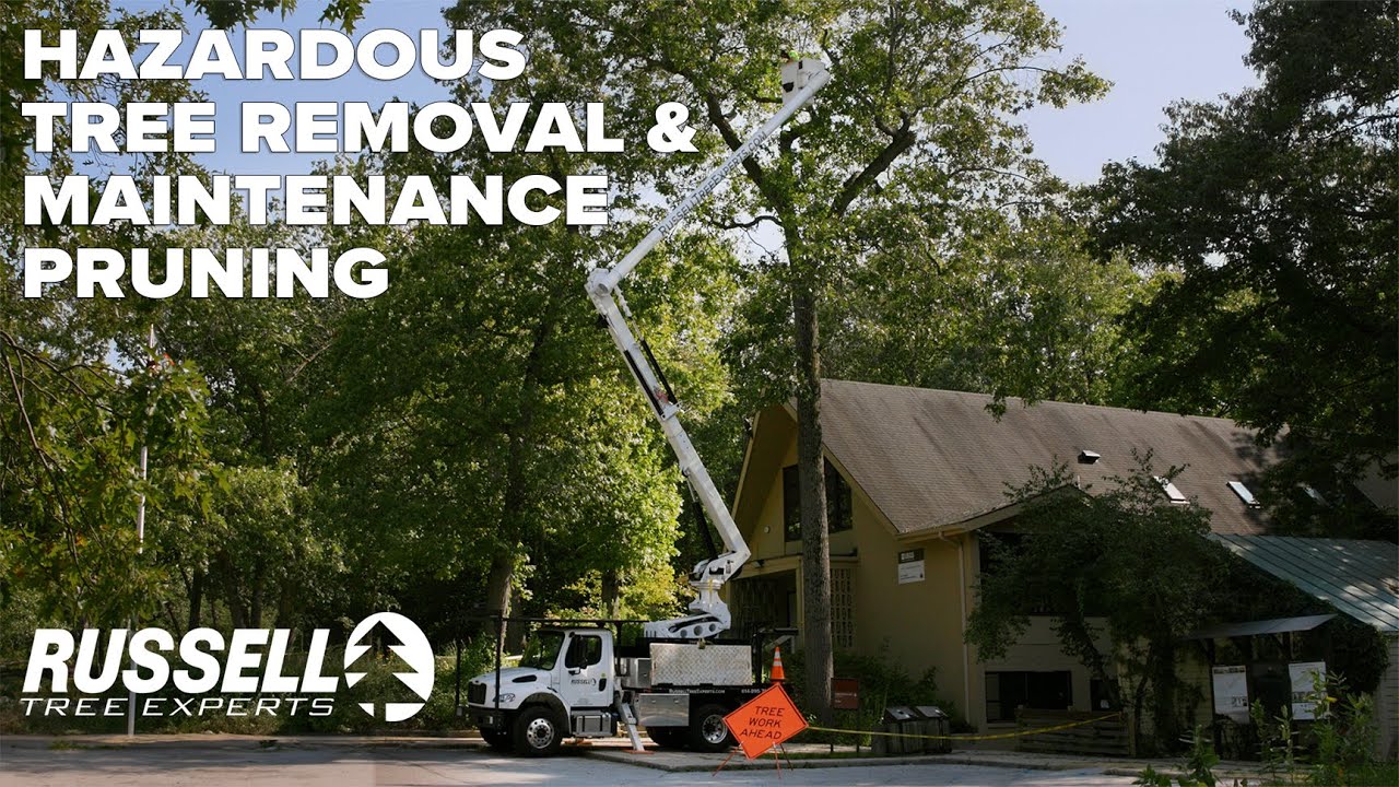 Hazardous Tree Removal and Maintenance Pruning for National Park ...