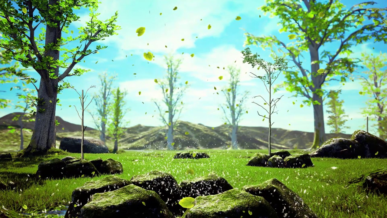 Growing Tree Nature Logo After Effects Template - YouTube