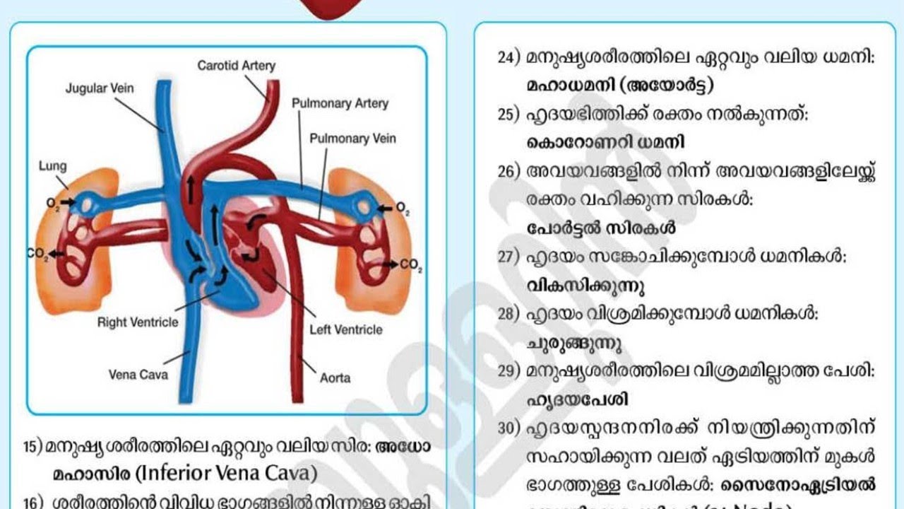 ഹൃദയം ️ ️ PSC ചോദിക്കുന്ന മുഴുവൻ ചോദ്യങ്ങൾ | PSC BULLETIN SPECIAL ...