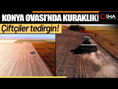 Hububat Ambarı Konya Ovasında Yağışlar Yetersiz, Çiftçiler Endişeli!