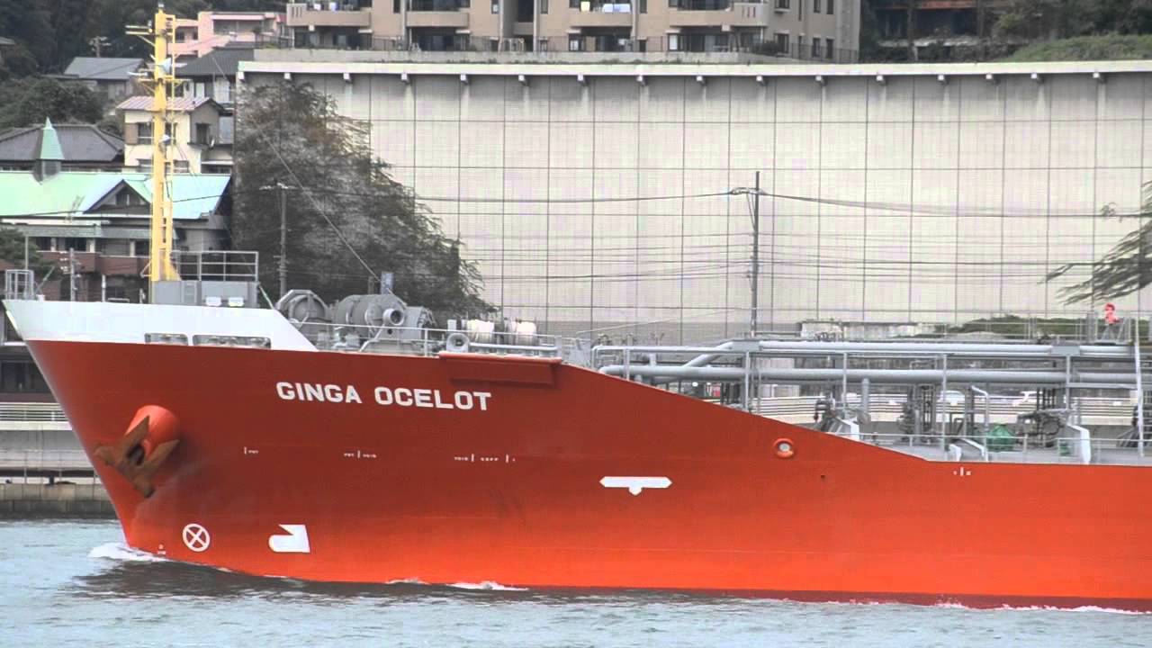 GINGA OCELOT - YouTube