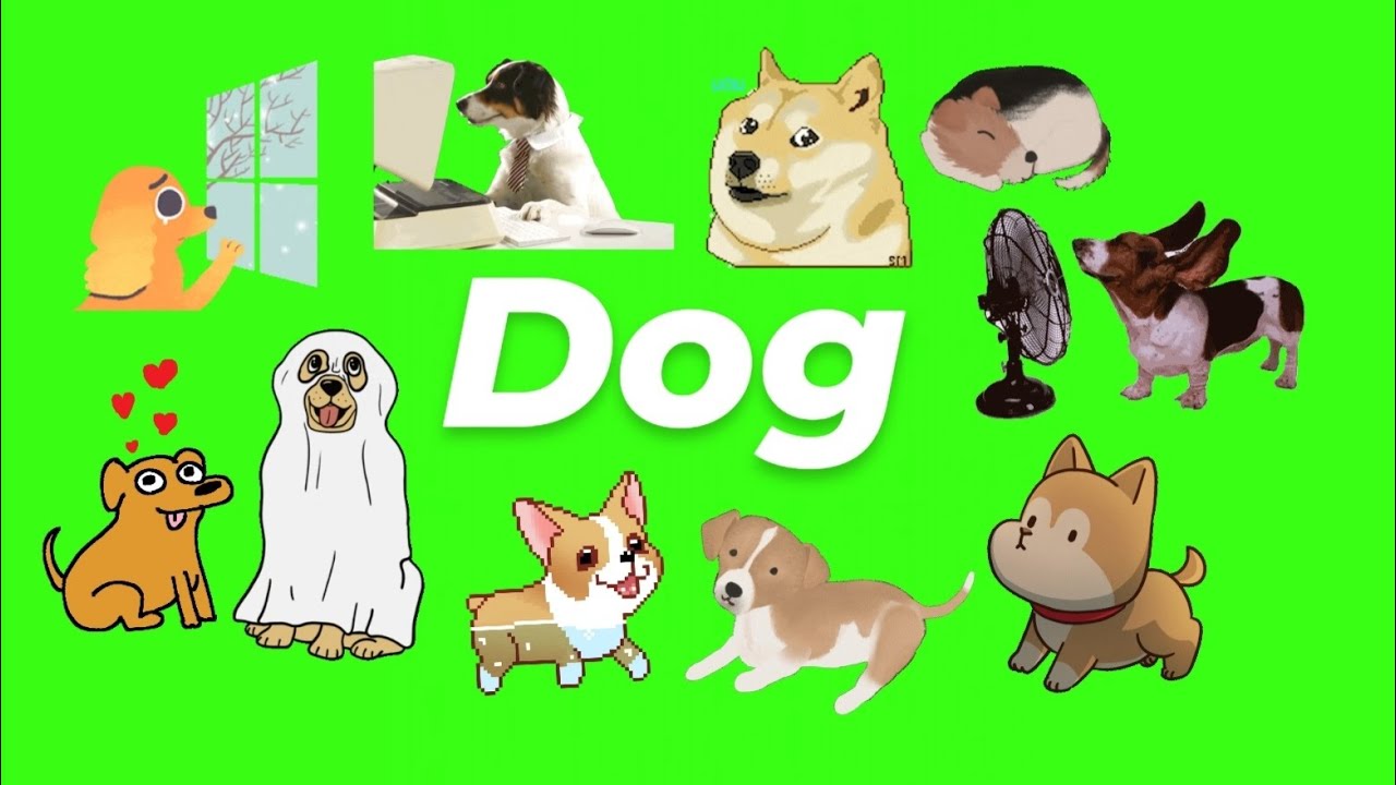 Animated Dog GIF Green Screen Pack (Free Download) - YouTube