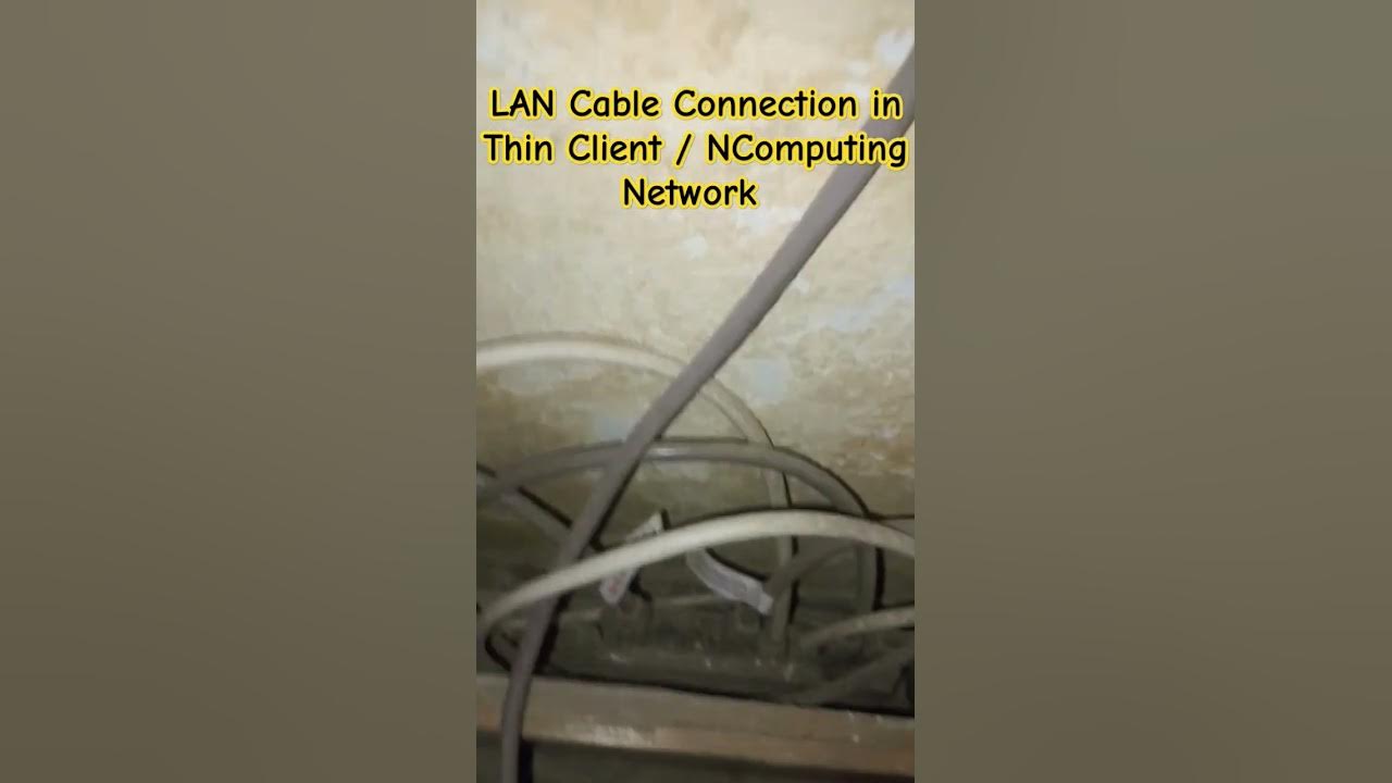 LAN Cable Connection in Thin Client / NComputing Network #computer #thinclient #networking #tech ...