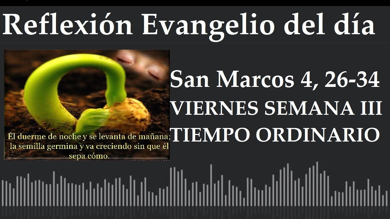 Reflexión Evangelio del día | San Marcos 4: 26-34 Viernes III Semana ...