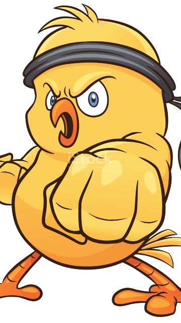Story Of The Cute Bird Chiki😍.#madeforkids #birds #support #subscribe # ...