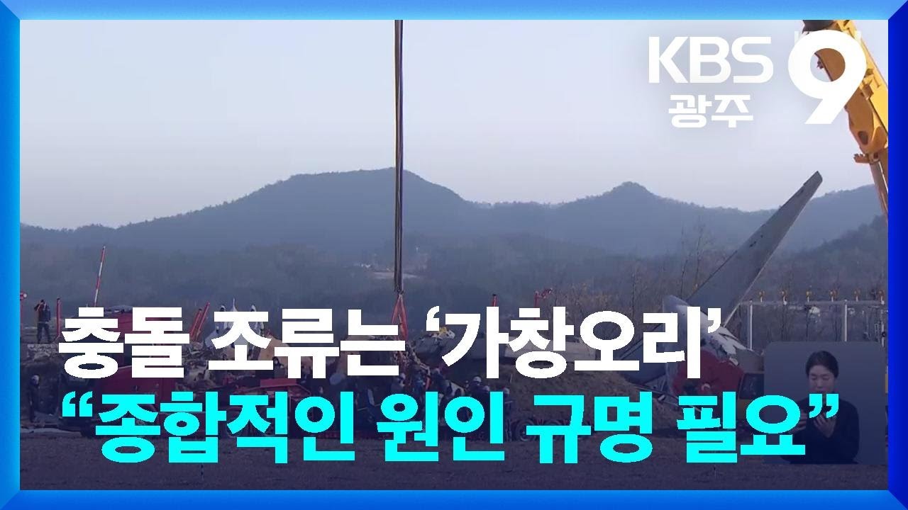 충돌 조류는 ‘가창오리’…“종합적인 원인 규명 필요” / KBS 2025.01.25. - YouTube