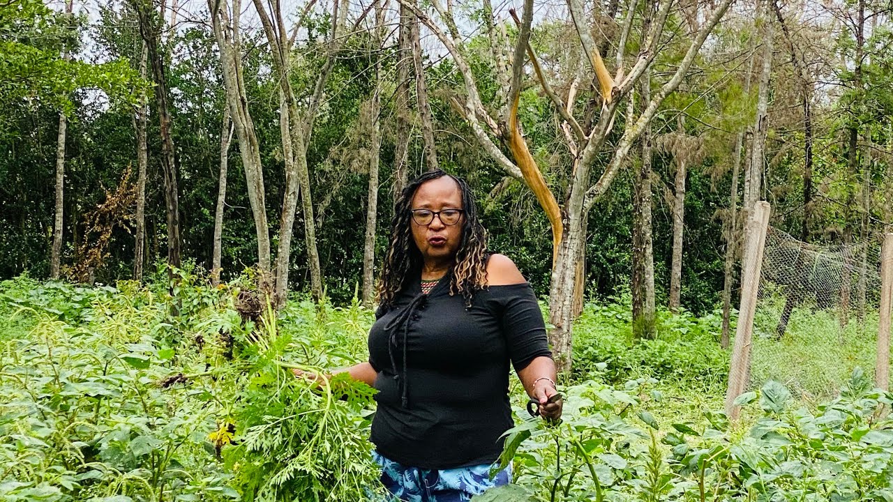 Faring well with village lifestyle/weeding/harvesting caring for pets ...