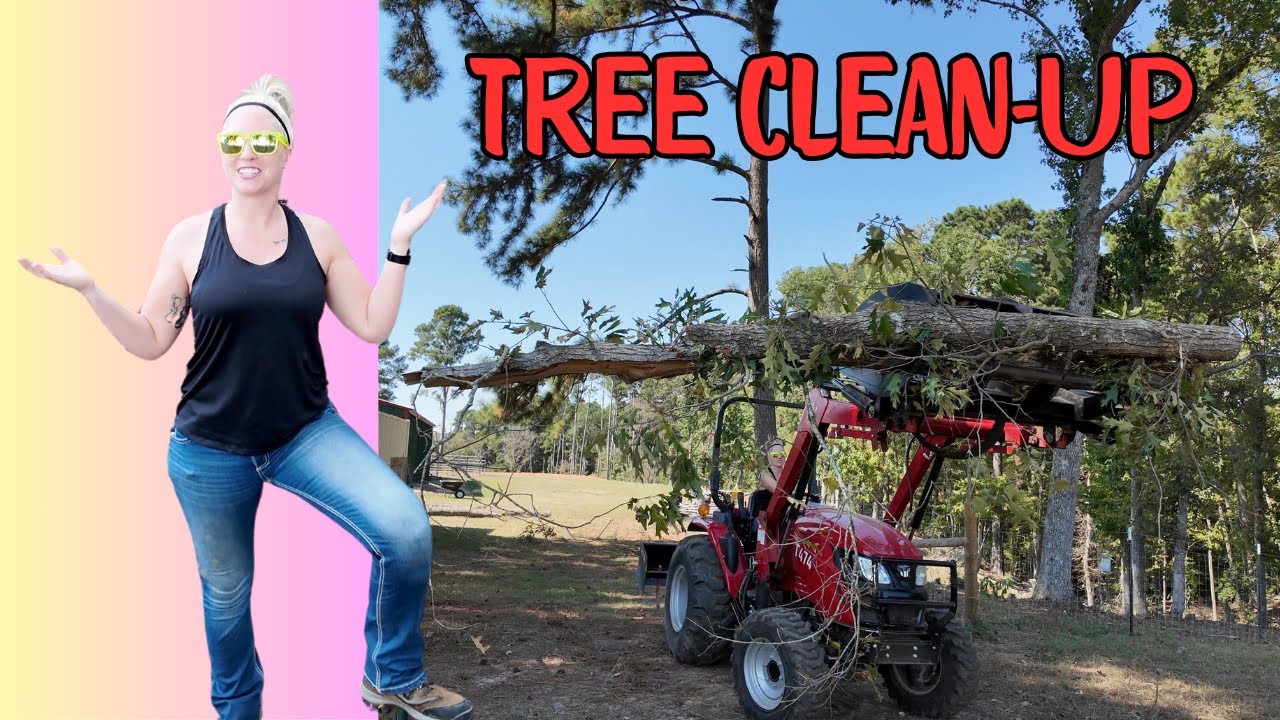 Cleaning up a downed tree. Tractors, winches and chainsaws. Proper farm ...
