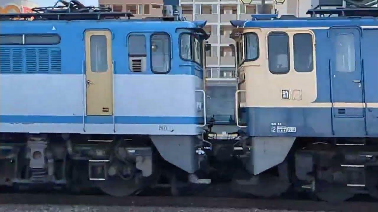 【EF65-2127 隅田川機関区撮影会に伴う返却回送】国鉄EF65形2080号機+ムドEF65形2127号機(カラシ)が新座駅1番線を通過するシーン(8582レ新鶴999B)2024.3. ...
