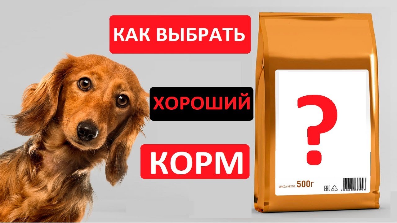 Как выбрать хороший корм | Разбор состава кормов | Изучаем упаковку ...