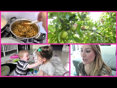 BAŞVURDUK ! | VLOG #473 | GURBETÇİ AİLE