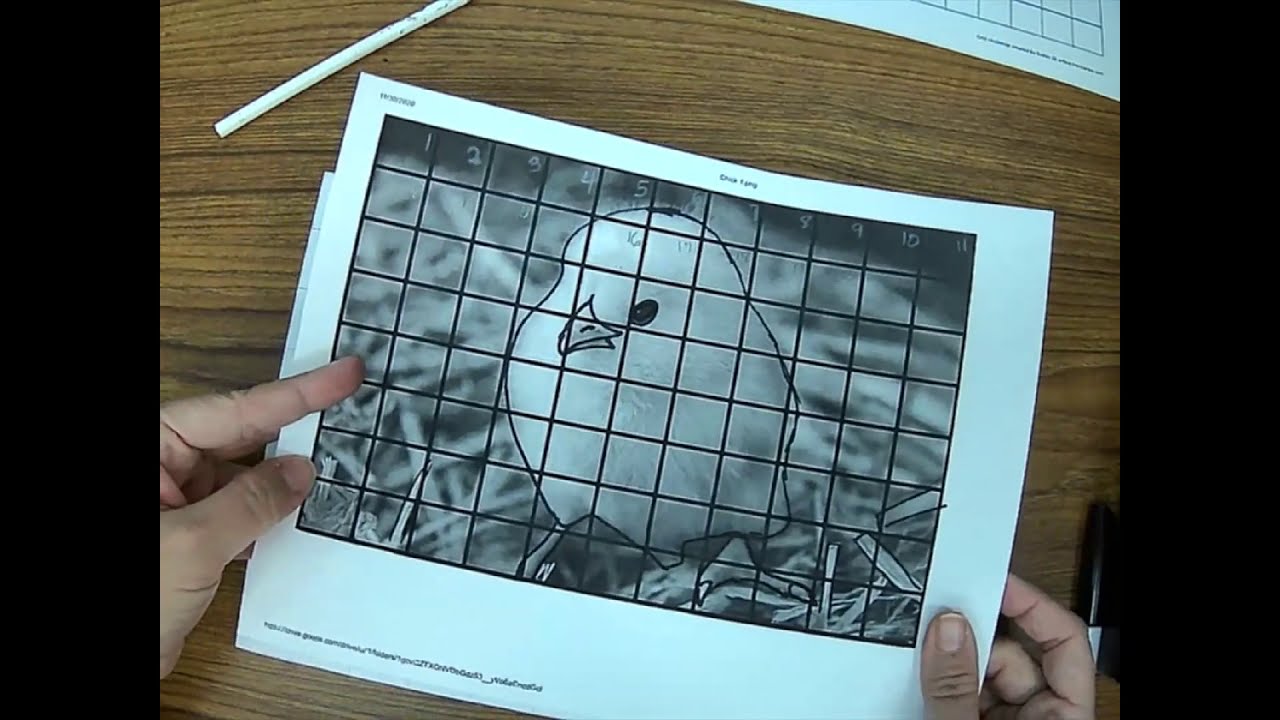 8x11 Grid Drawing How To Part 2 - YouTube