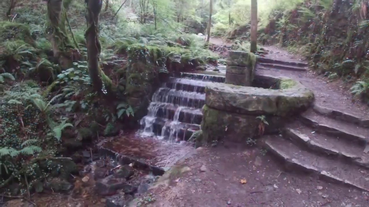 Kilbroney Forest Park 2020 - YouTube