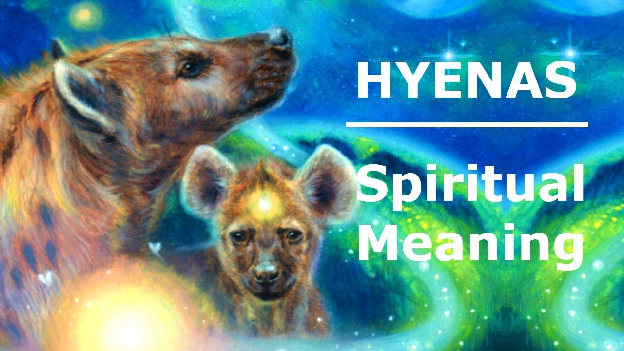 Hyenas In Spirituality: Totems And Guardian Spirits - YouTube