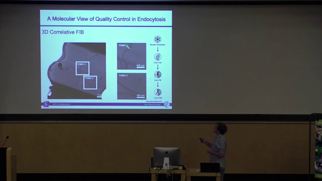 In Situ Structural Biology - YouTube
