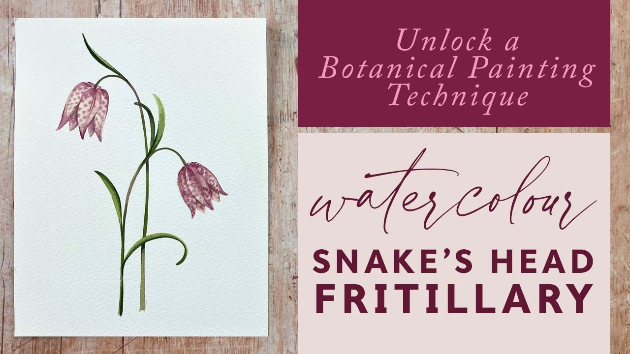 Unlock a Watercolour Botanical Painting Technique - Paint Snake's Head ...