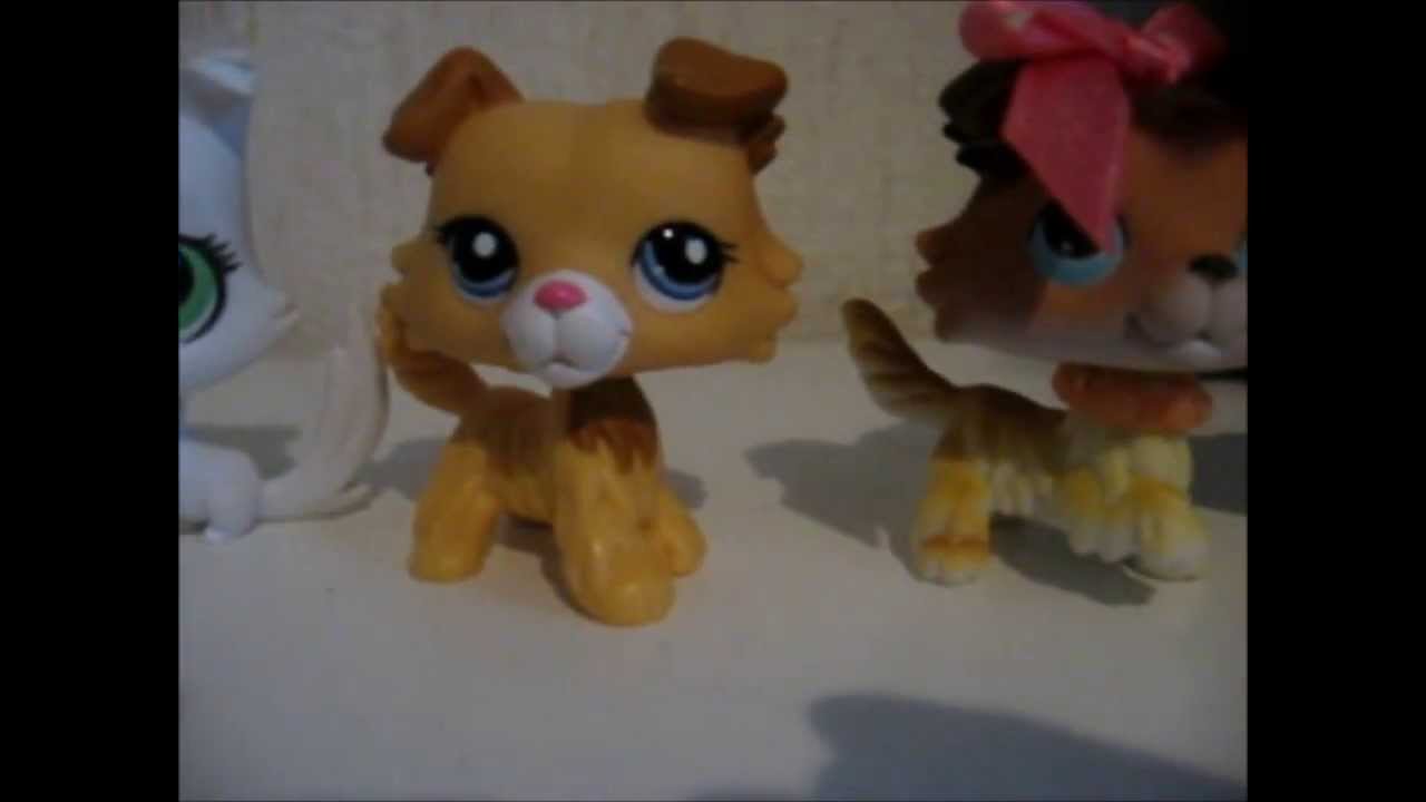 Littlest pet shop - my collies - YouTube