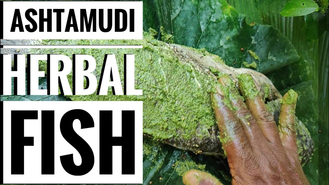 Ashtamudi Herbal Fish | അഷ്ടമുടി ഹെർബൽ ഫിഷ് | One minute Recipe by Food ...