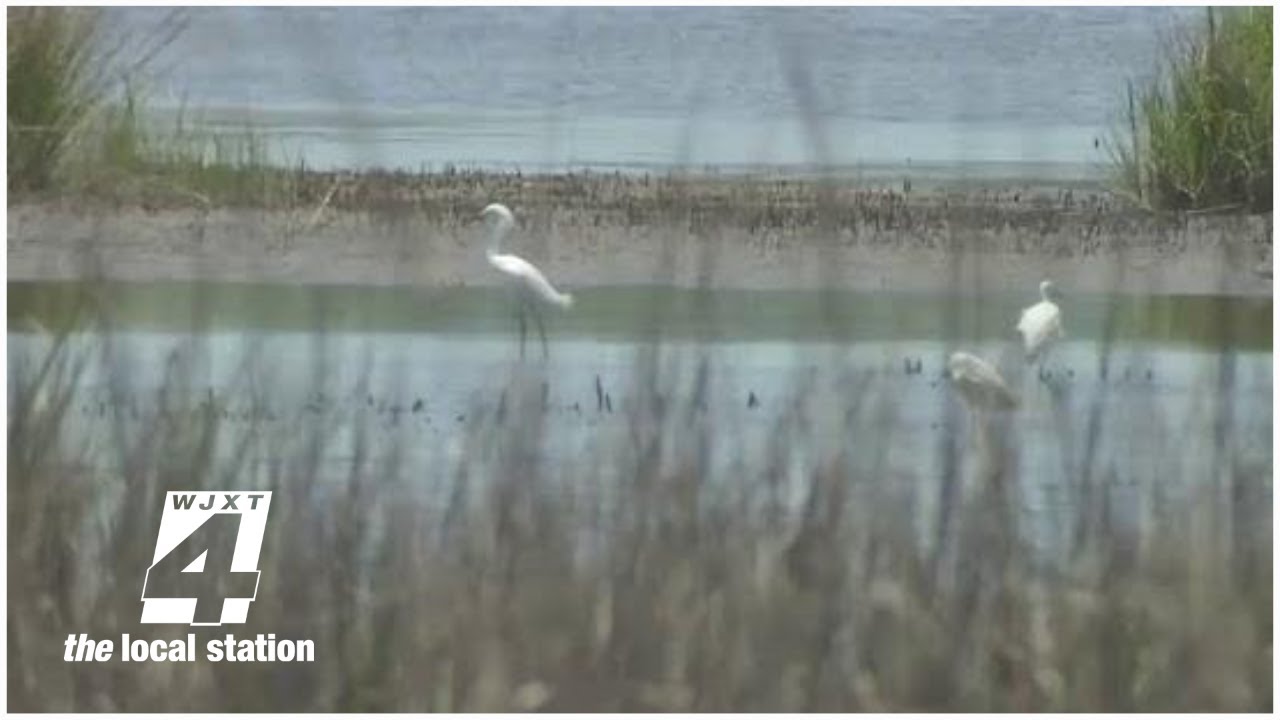 Developers tied to controversial Guana River land swap proposal withdraw application for deal ...