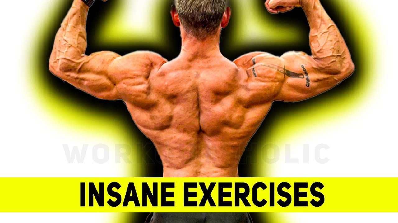 My Top Back Exercises ‖ 6 Back Exercises You Should Be Doing - YouTube