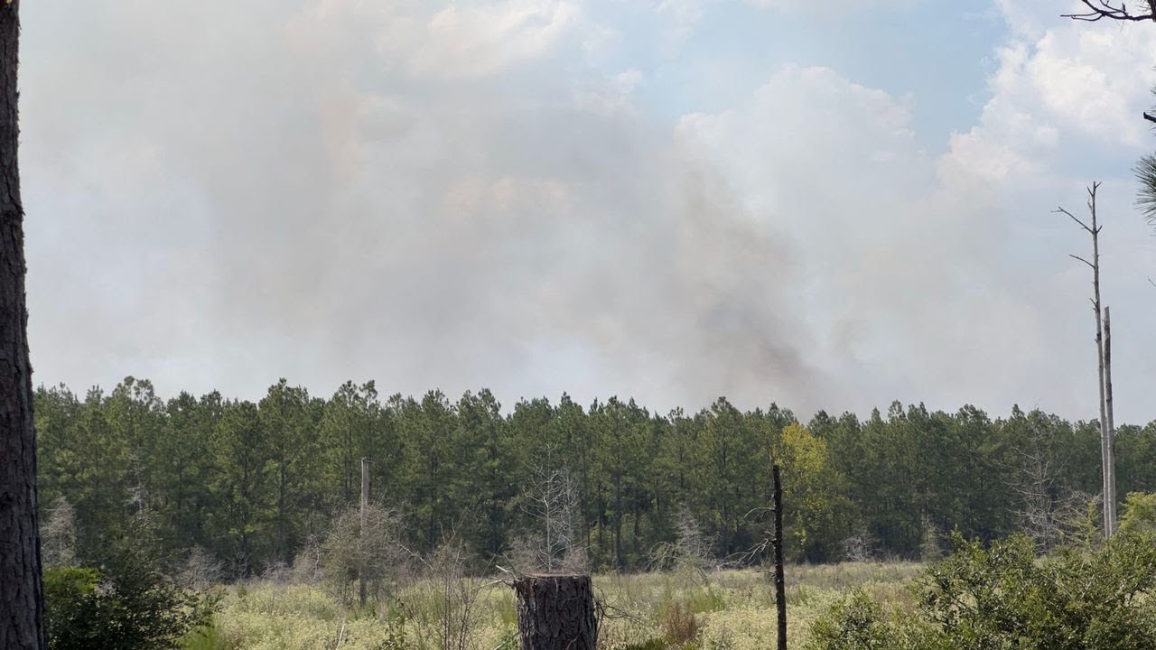 More Cenla wildfires spark up, Tiger Island Fire continues to burn ...