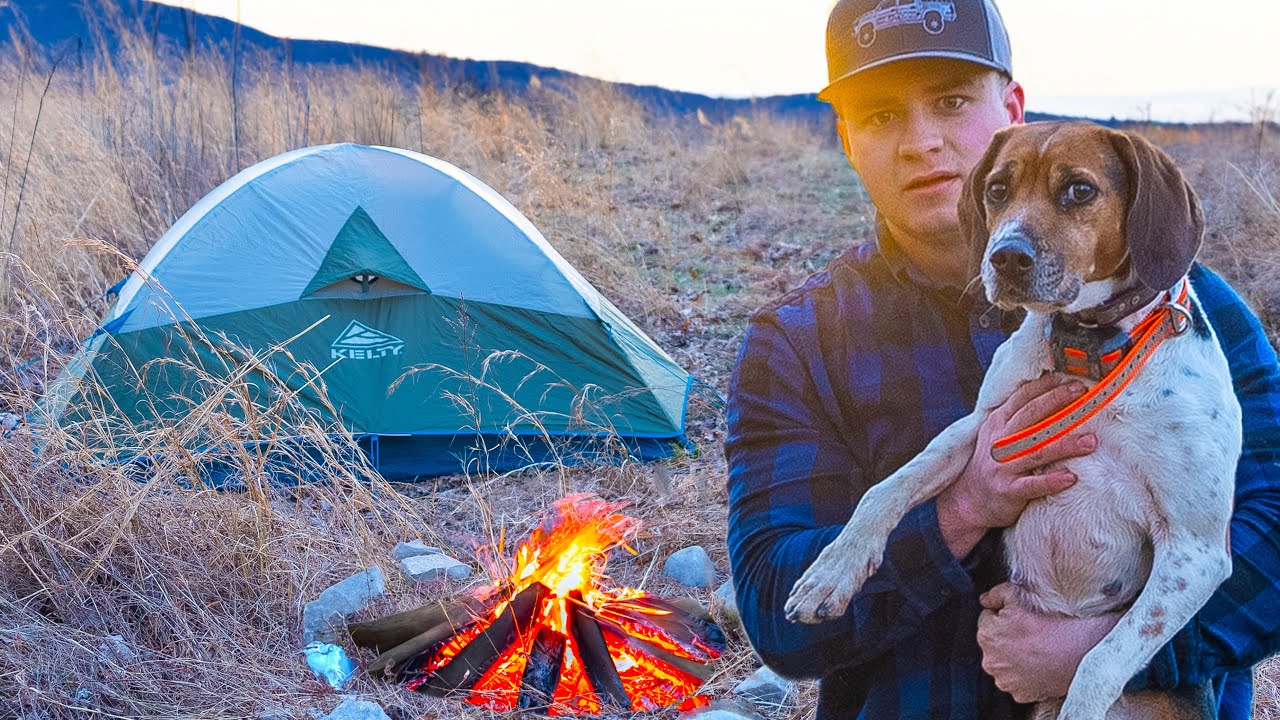 Overnight Camping and Hunting with My Dogs - YouTube