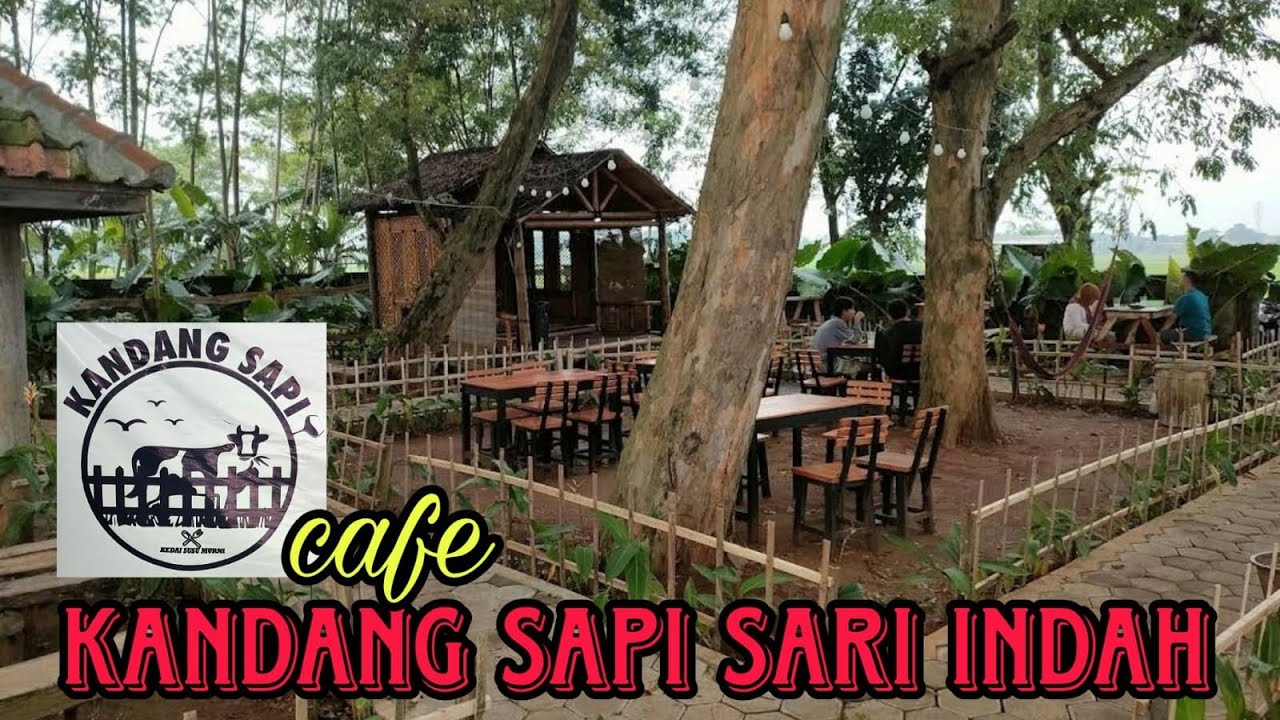 Cafe Kandang sapi Sari Indah | Yosorejo Pekalongan Selatan - YouTube