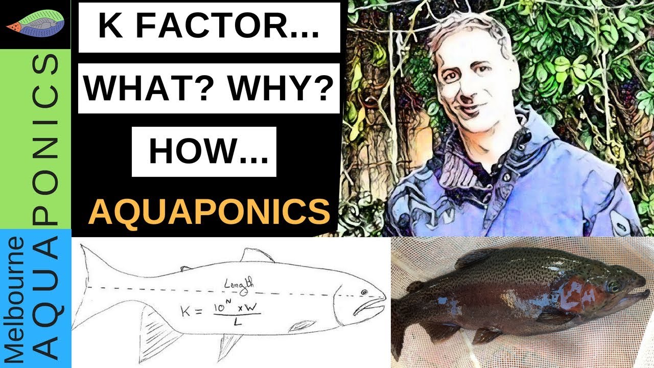 The technique to measure your fish health level... - YouTube