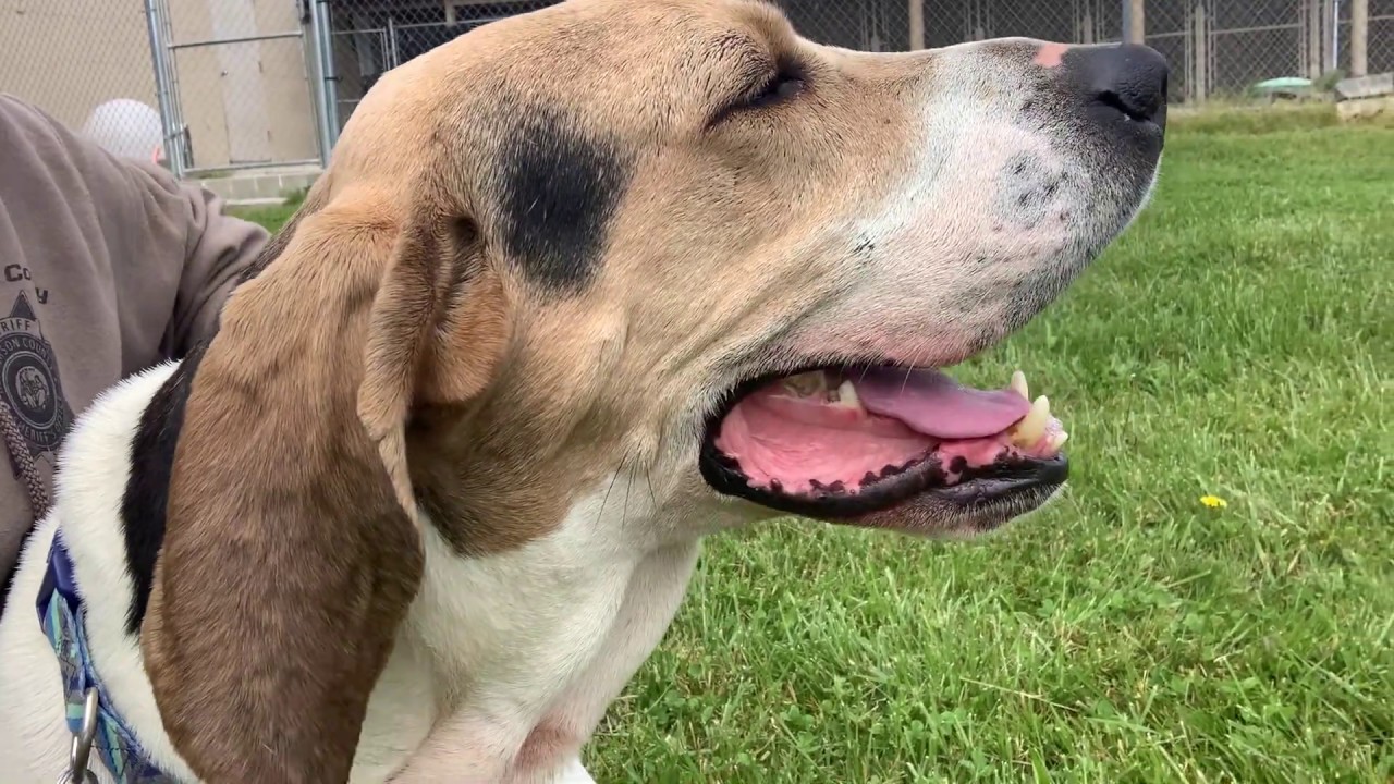 Meet Jack! - YouTube