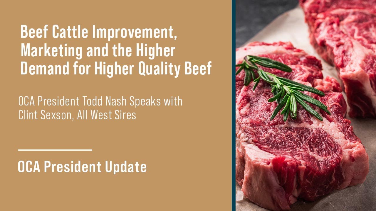 Beef Cattle Improvement and the Demand for Higher Quality Beef - YouTube