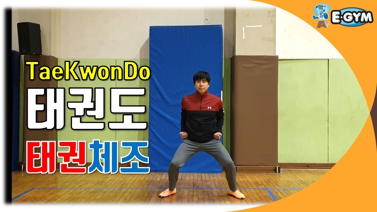 제이슨의 유아체육시간 태권체조 유아체조 유아체육 태권도 유아교육 Tae Kwon Do Warm Up Dance Tae Kwon Do 유아신체놀이