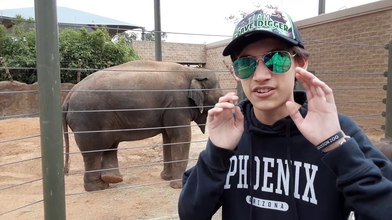 Me at the zoo - YouTube