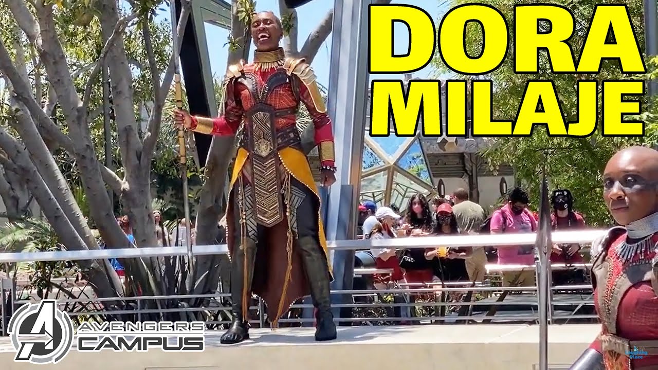 "The Warriors of Wakanda: The Disciplines of the Dora Milaje" in ...