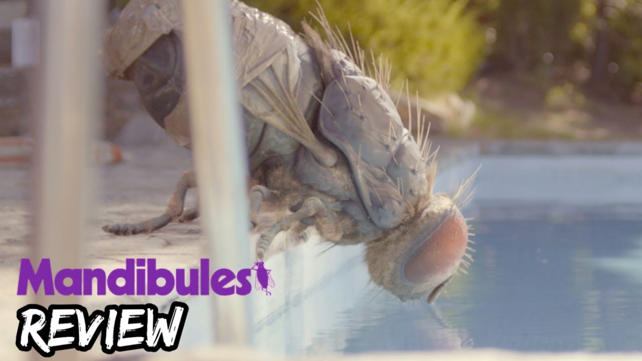 Mandibles (Mandibules) Movie Review - YouTube