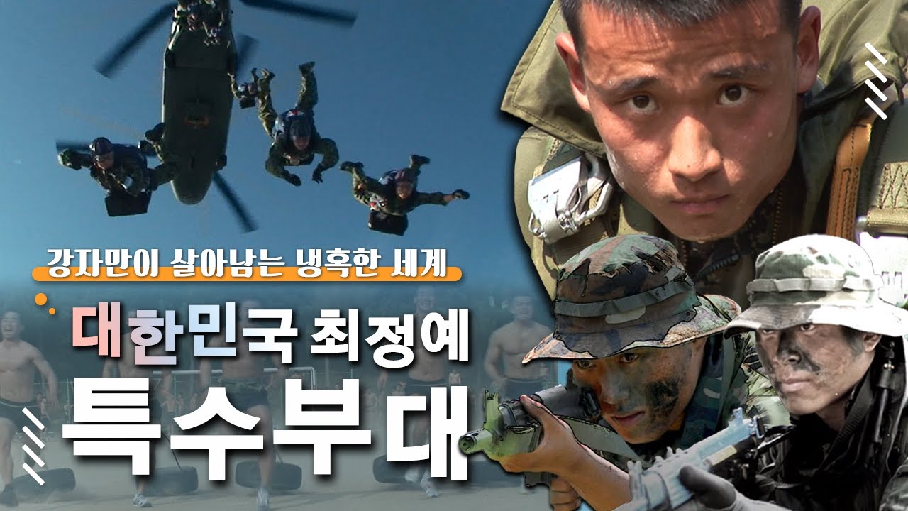 해병대 수색대│육군 특전사│공군 CCT │해군 UDT/SEAL 《대한민국 최정예 특수부대》│#골라듄다큐 - YouTube