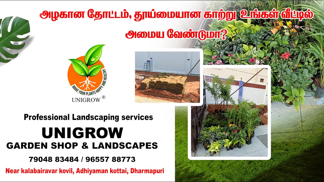 Our team installed a Grass Lawn & Home garden in Residential @ Palacode ...