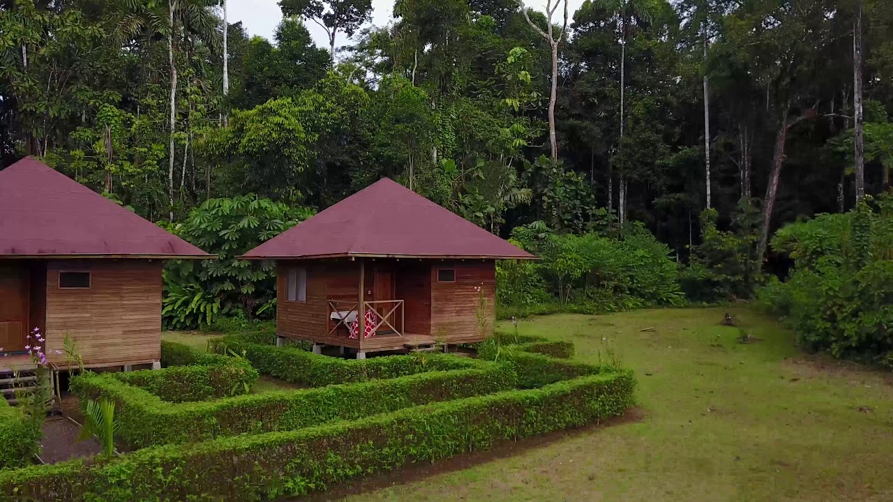 Eden Amazon Lodge Cabins - YouTube