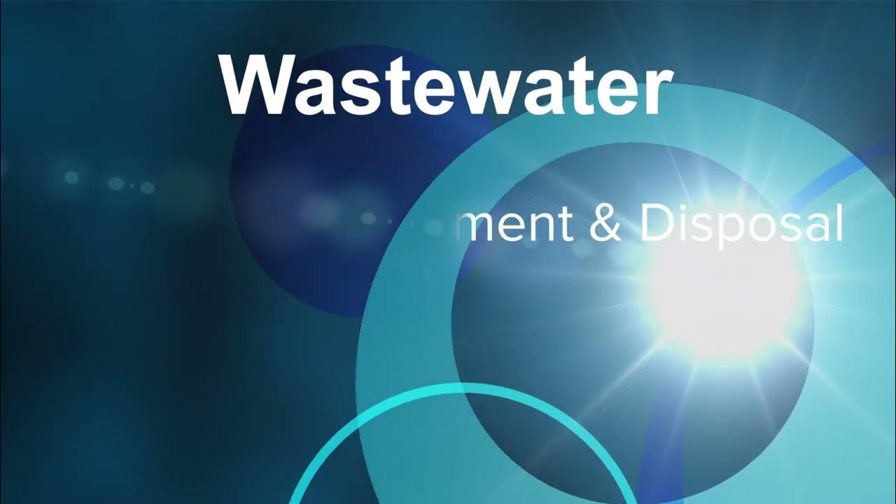 WTD - WACS REPORTS CATALOG - YouTube