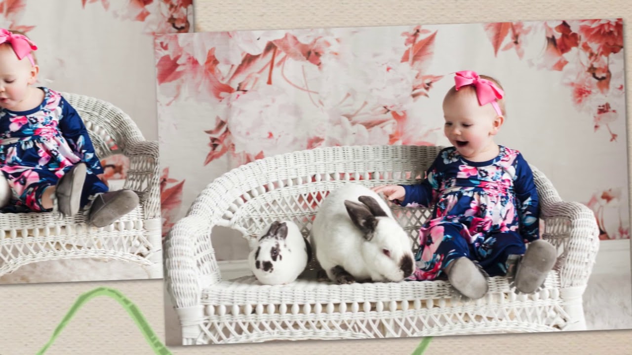 Emily Bunnies 2018 - YouTube