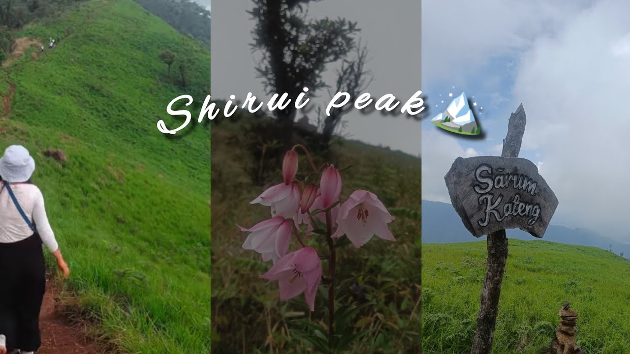 5th shirui lily festival 2025 💥|Shirui Lily🌷|Hiking adventure to Shirui ...