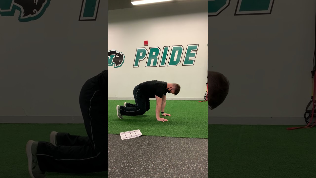 Bear Position Holds - YouTube