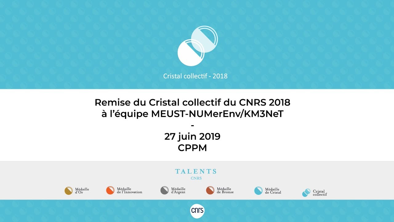 Cristal collectif du CNRS 2018 attribué à l'équipe MEUST-NUMerEnv ...