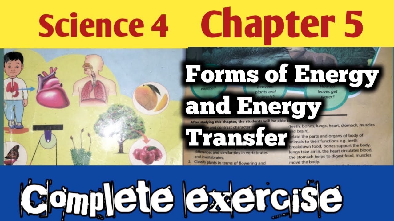 Class 4 Science Chapter 5/Forms of Energy and Energy Transfer/ Science ...