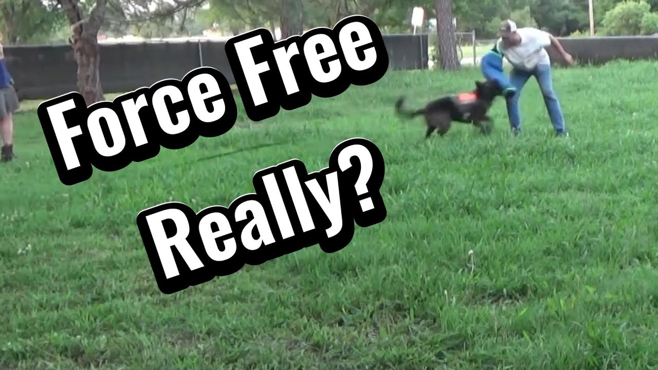 Force Free Zak George and Reality #doglover - YouTube