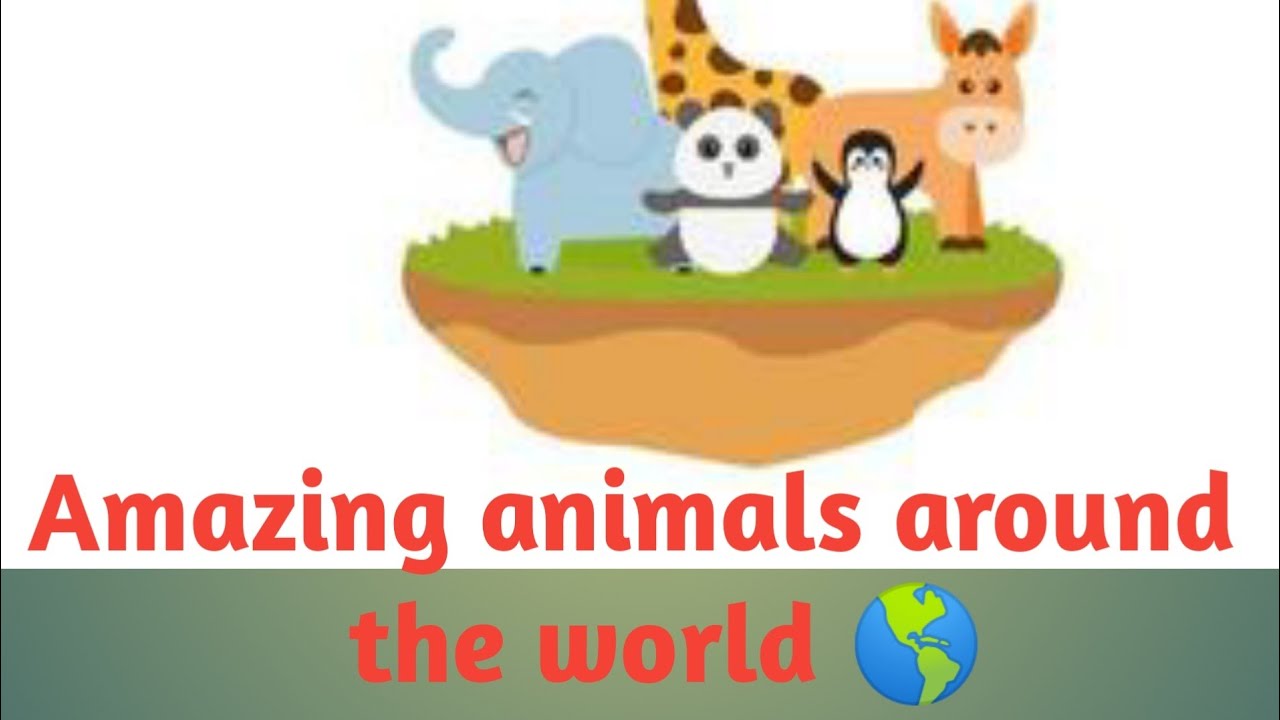 Amazing Animals Around the World for Kids | henry animals around the ...
