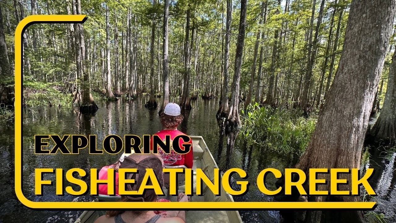 Exploring Fisheating Creek! - YouTube
