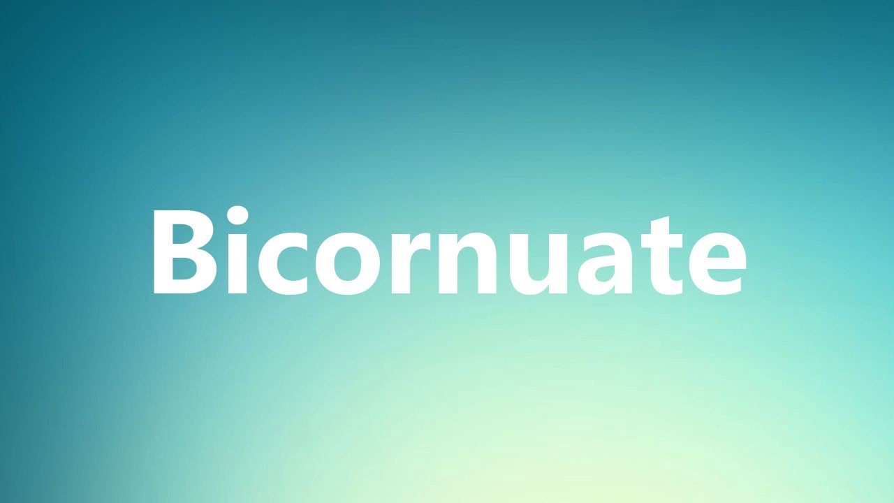 Bicornuate - Medical Definition and Pronunciation - YouTube