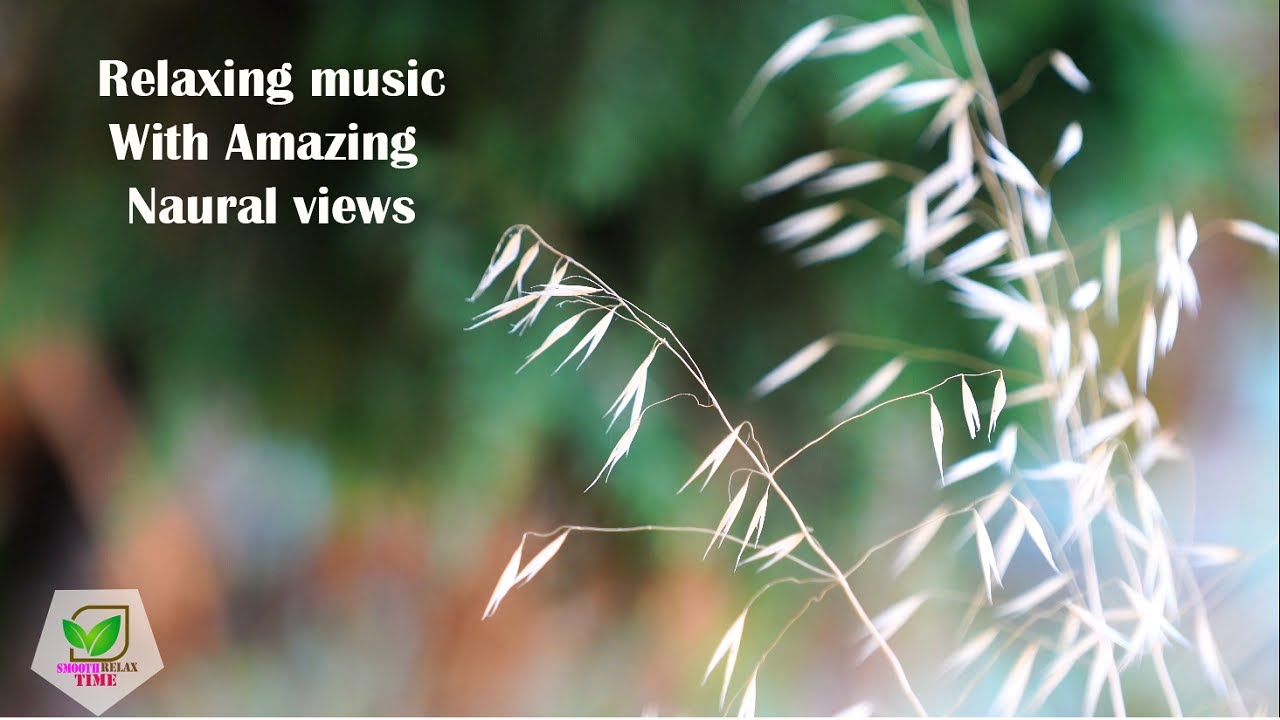 Relaxing music with amazing natural views - Peaceful time with Smooth ...